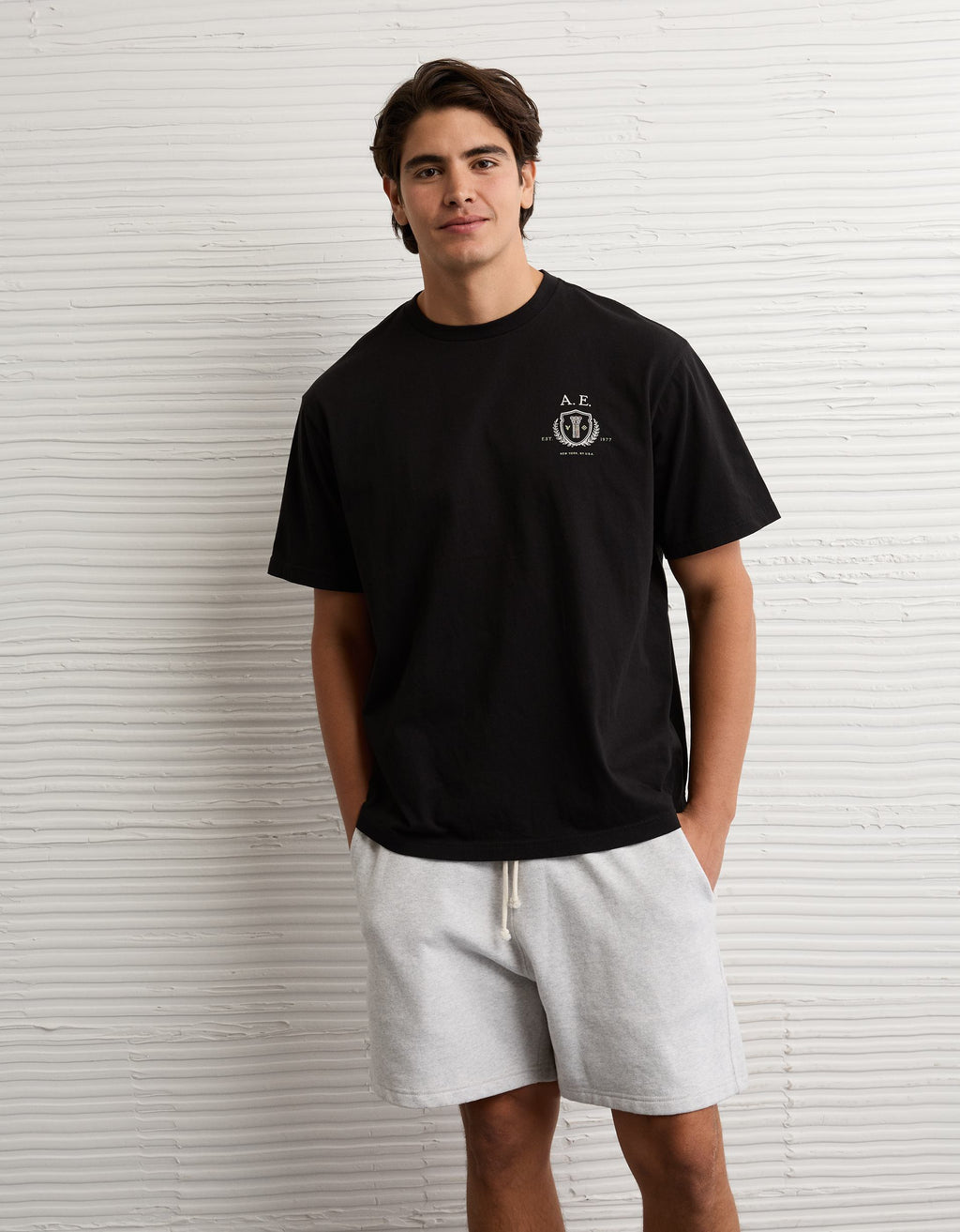AE Standard Fit Logo Graphic T-Shirt – American Eagle Europe
