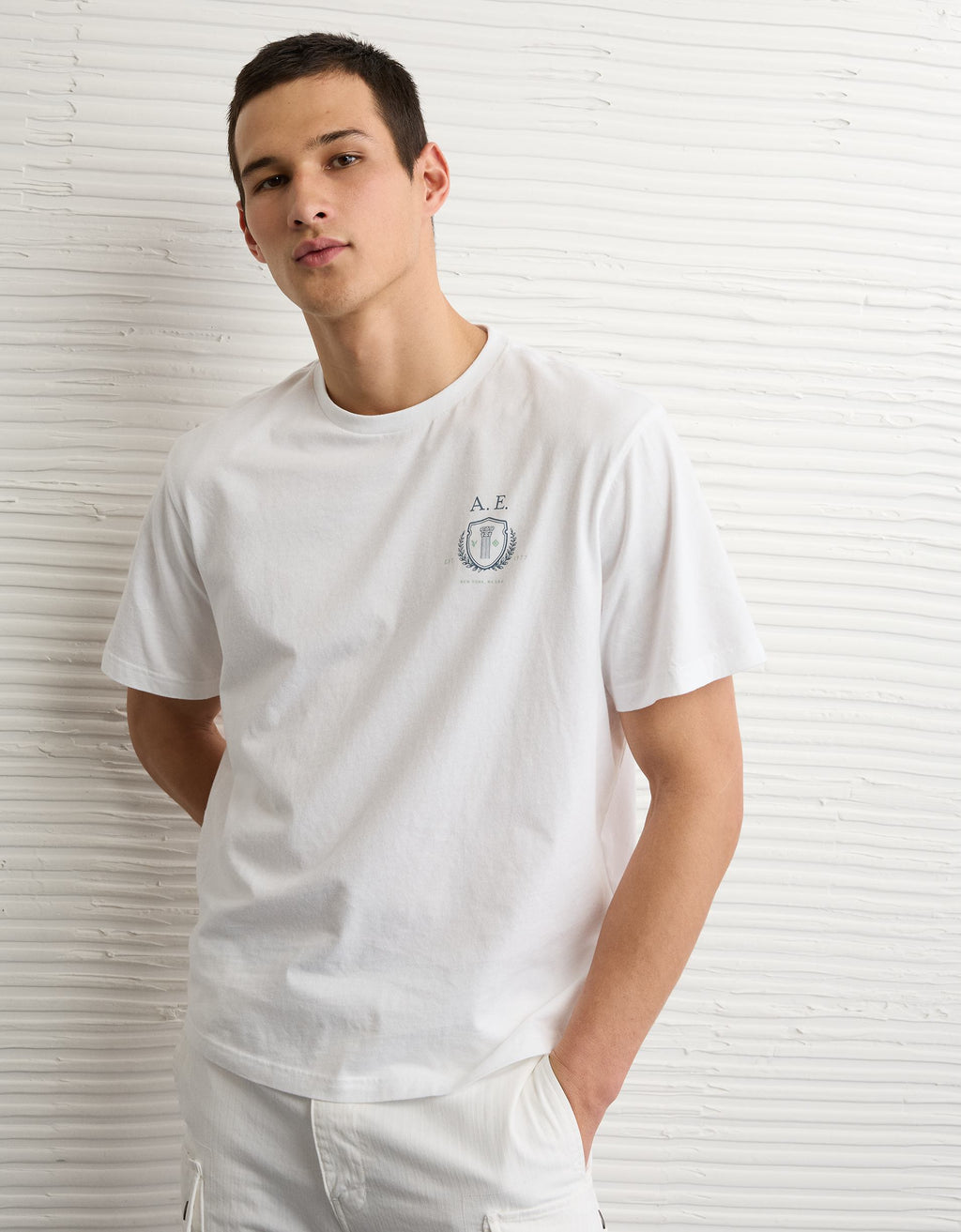 AE Standard Fit Logo Graphic T-Shirt – American Eagle Europe