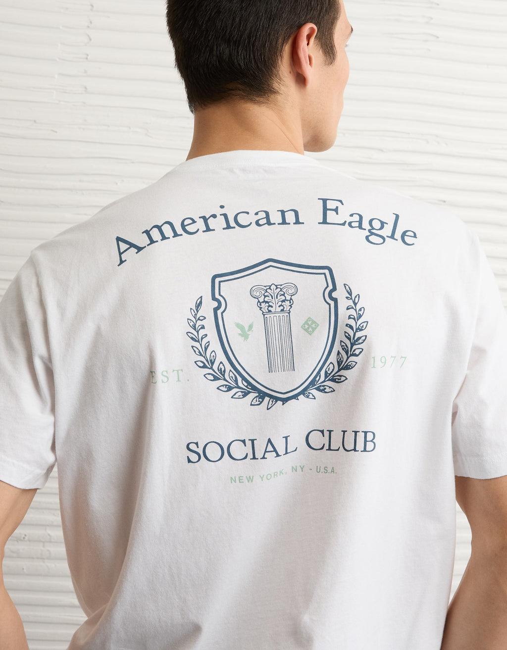 AE Standard Fit Logo Graphic T-Shirt – American Eagle Europe