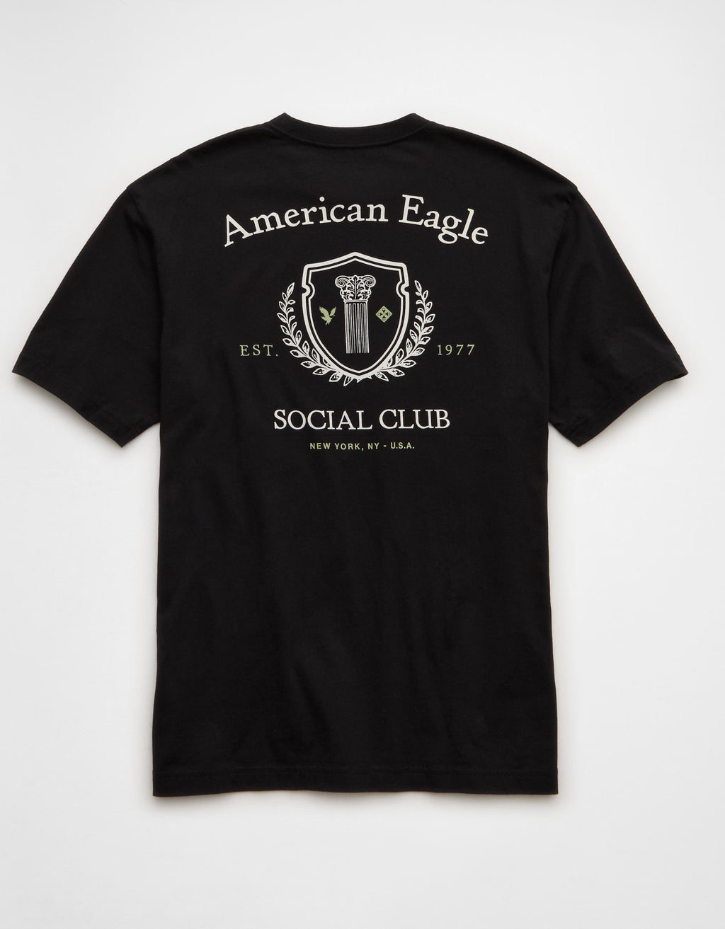AE Standard Fit Logo Graphic T-Shirt – American Eagle Europe