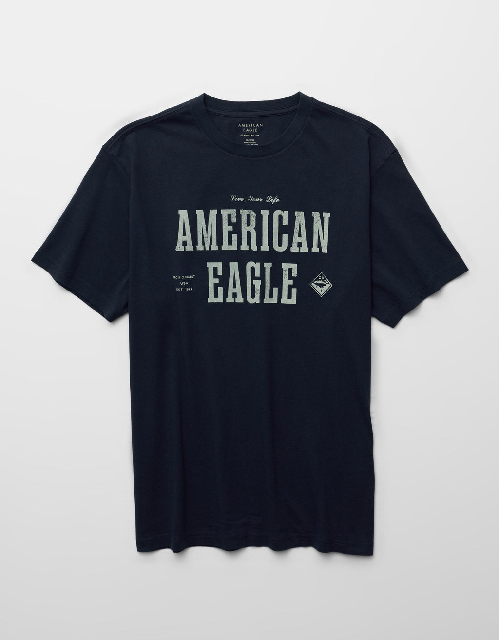 AE Standard Fit Graphic Logo T-Shirt – American Eagle Europe